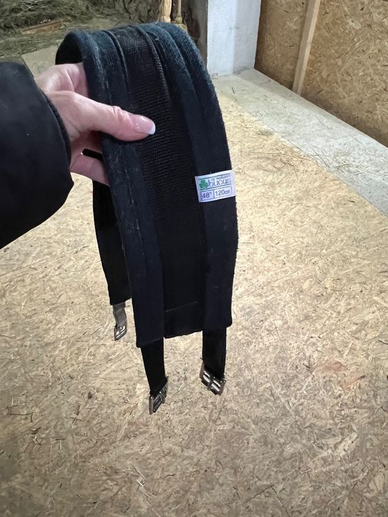 Sattelgurte Bucas 120cm (Gebraucht) in Seewen SO für CHF 10 – mit Lieferung auf Ricardo kaufen