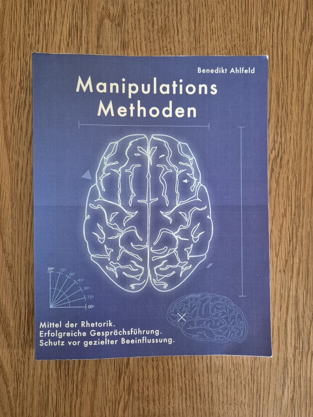 Benedikt Ahlfeld - Manipulationsmethoden (Gebraucht) in Goldach für CHF ...