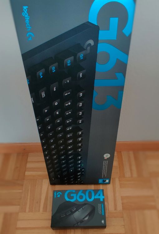 Logitech Gaming Set Keyboard & Mouse Lightspeed Hero | Kaufen auf Ricardo