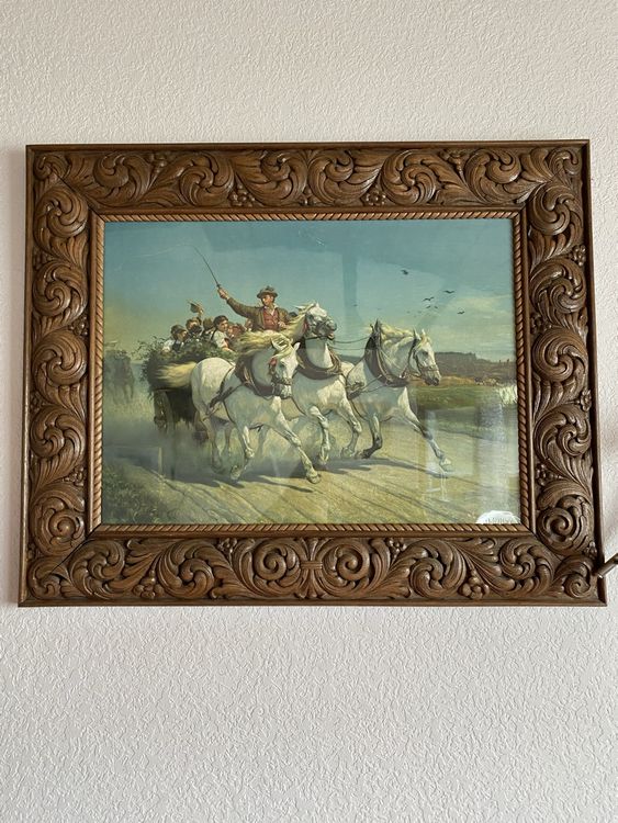 Bild | Kaufen auf Ricardo