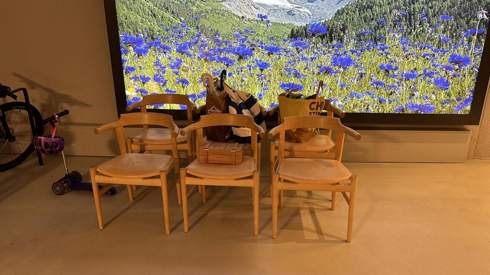 Hans Wegner Stuhl PP58 Møbler Esche geseift Leder vegetal 6x (Gebraucht ...