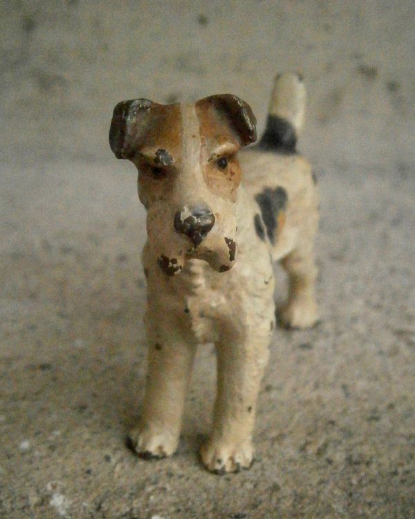 Wiener Bronze Foxterrier Hund | Kaufen auf Ricardo