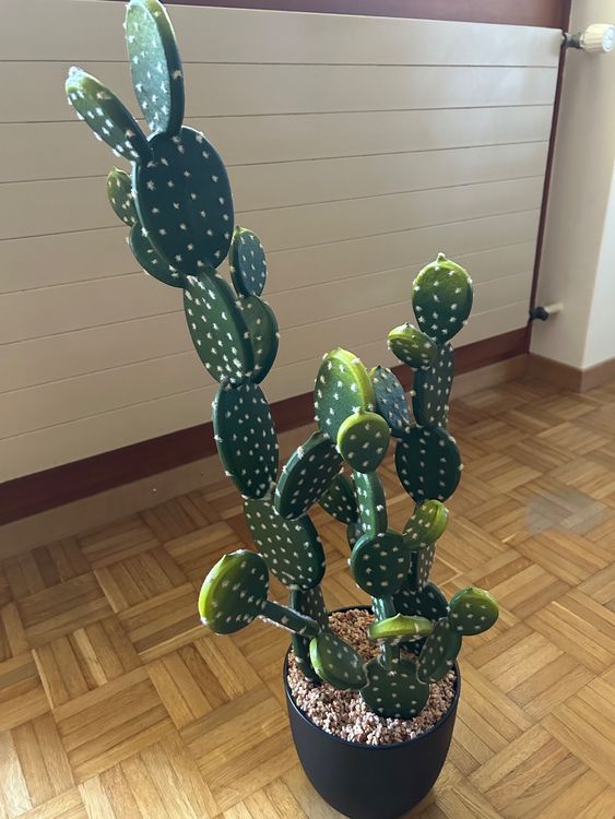 Cactus artificiel 75 centimètres | Kaufen auf Ricardo
