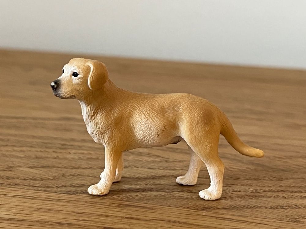 Schleich 16386 Labrador Rüde Hund (Gebraucht) in Ennetbaden für CHF 7 – mit Lieferung auf ...