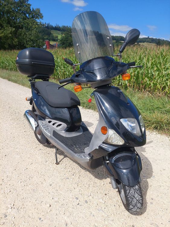 PGO T-Rex T Rex Roller mit Topcase und Windschild (Gebraucht) in ...