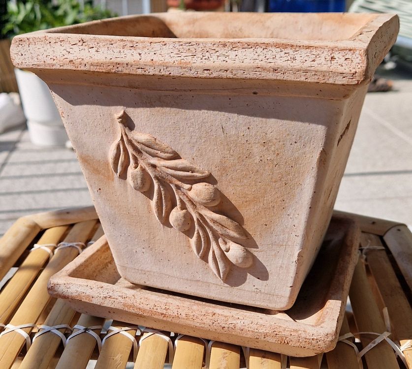 Stilvolle Terracotta Topf Mit Untersetzer Ebenbild