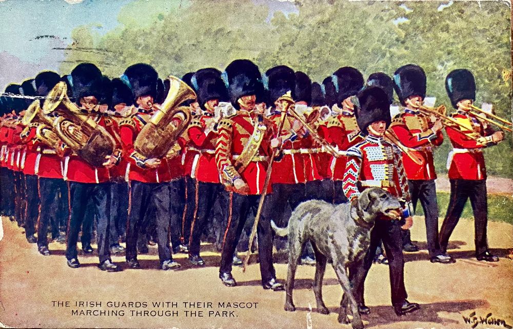 1951- IRISH GUARDS & Maskottchen - London England - Militär (Gebraucht ...
