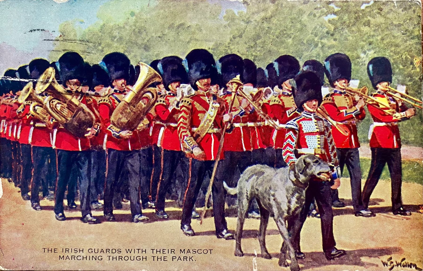 1951- IRISH GUARDS & Maskottchen - London England - Militär (Gebraucht ...
