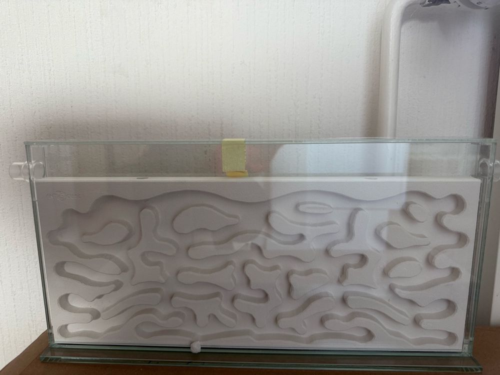 Formicarium 40x20cm antcube (Neu und originalverpackt) in Zürich für ...