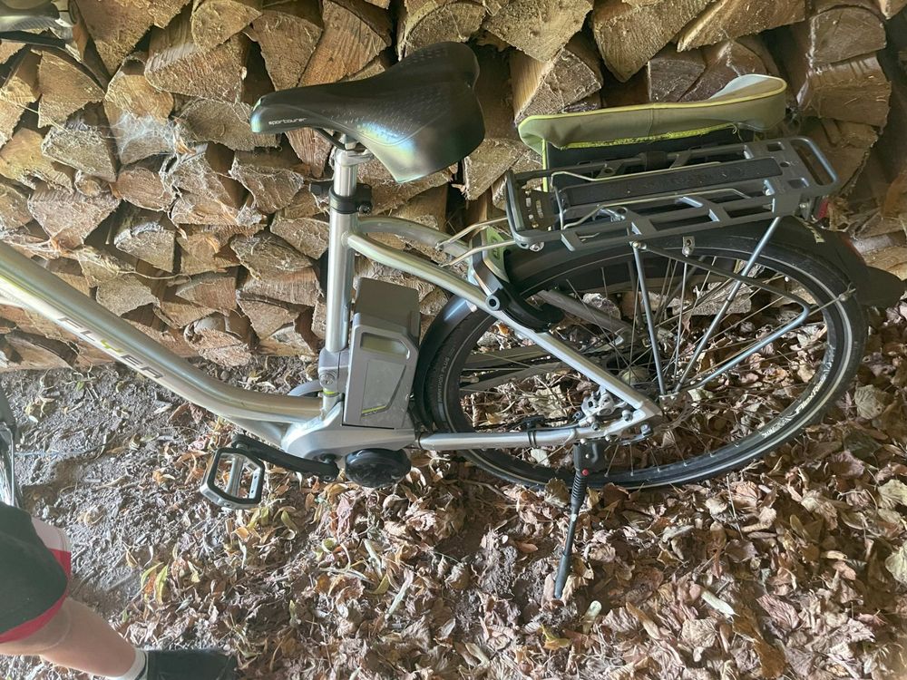 e-Bike Flyer | Kaufen auf Ricardo