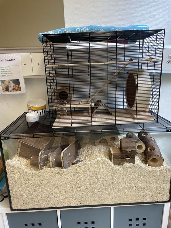 Mäusekäfig 100x50x50 | Kaufen auf Ricardo