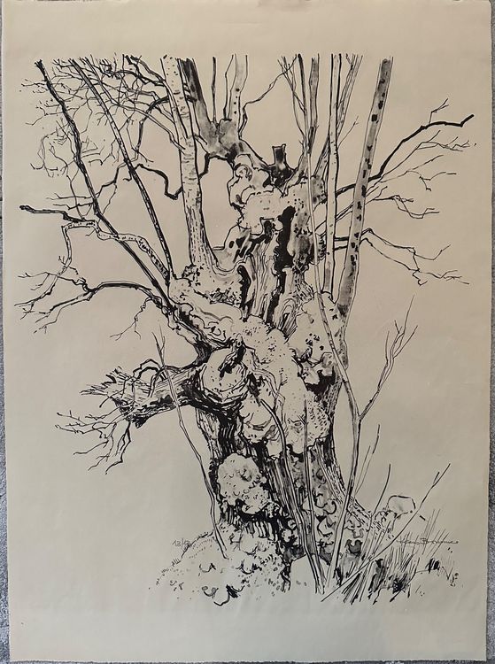 Klaus Brunner (1928) Litho Handsig | Kaufen auf Ricardo