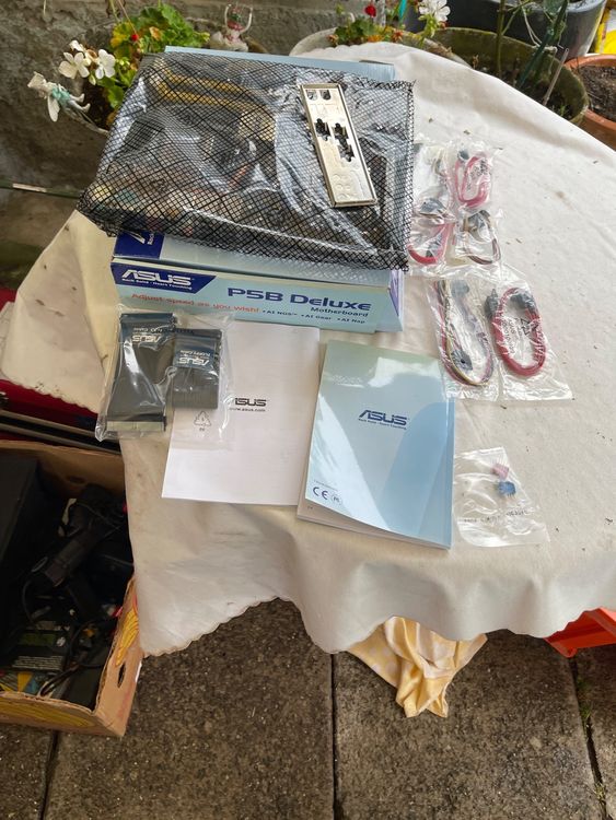 Asus Rock Solid Heart Touching (29) (Gebraucht) in Illnau-Effretikon ...