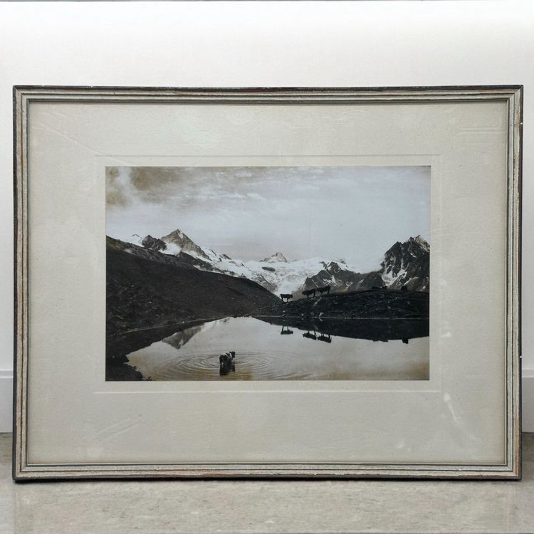 Photo ancienne ROBERT GUY "Les vaches suisses" Alpes Suisses | Kaufen ...