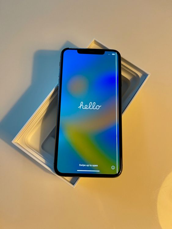 iPhone XS Max Space Gray 256GB (Displayschaden) | Kaufen auf Ricardo