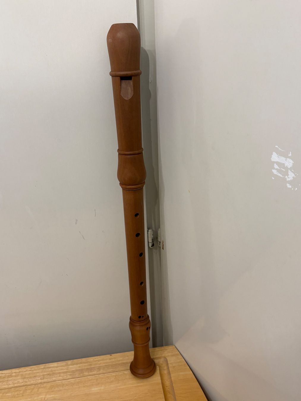 Küeng Tenor Blockflöte, Holz, inkl. Zubehör - Top! (Gebraucht) in Frick ...