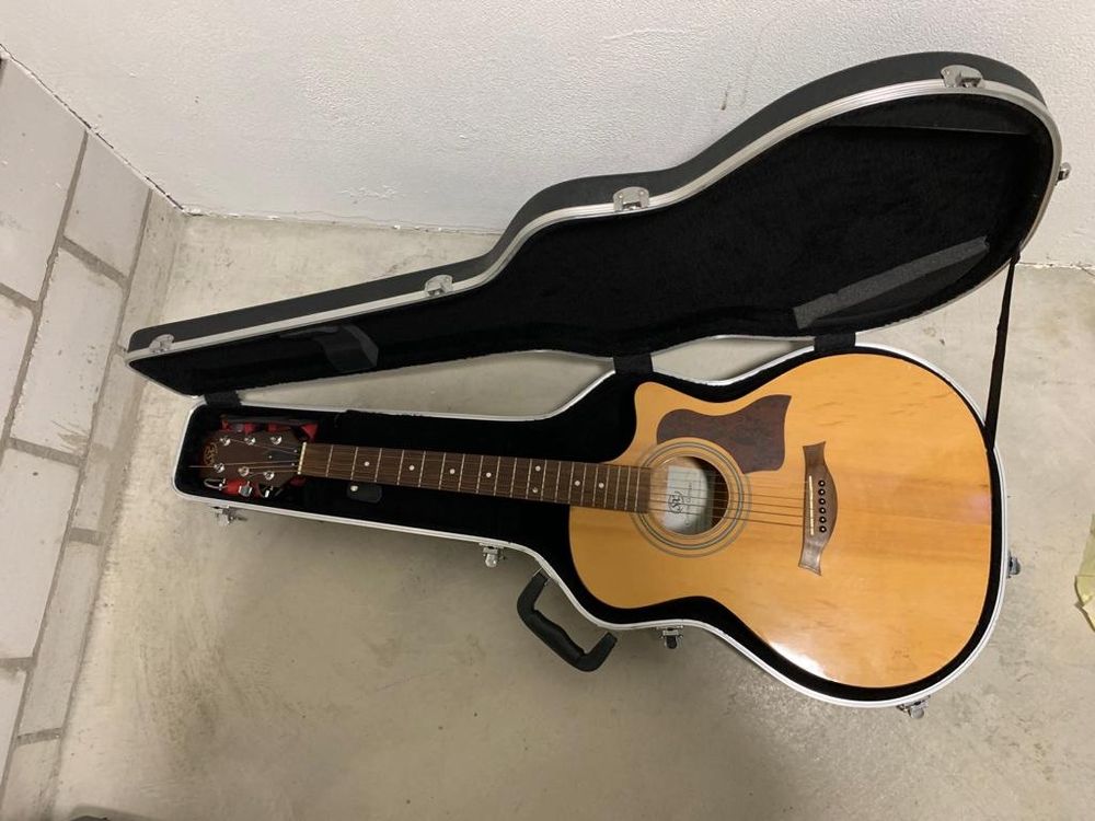 SX Custom Guitars | Kaufen auf Ricardo