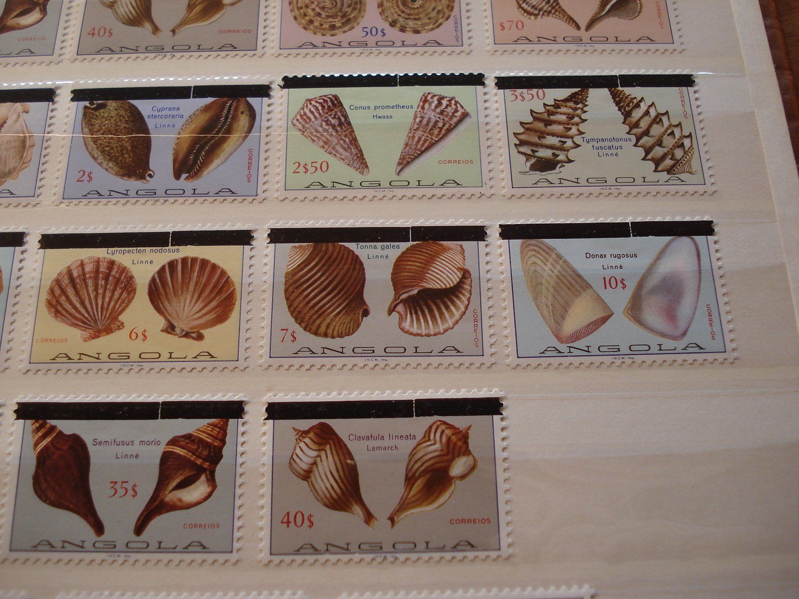 3 Sätze Angola um 1965 ** Muscheln, zT mit Überdruck (Gebraucht) in ...