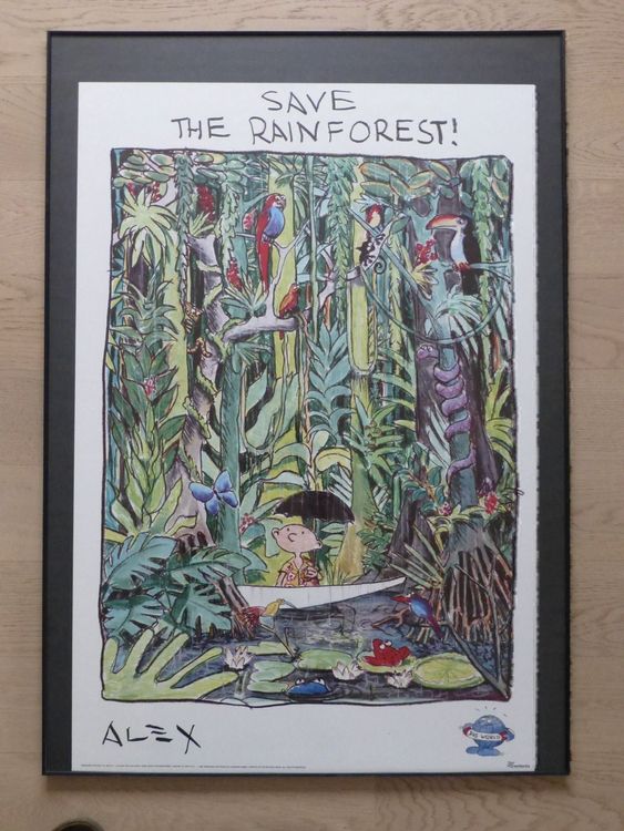 Poster SAVE THE RAINFOREST gerahmt (Gebraucht) in Wittenbach für CHF 9 ...