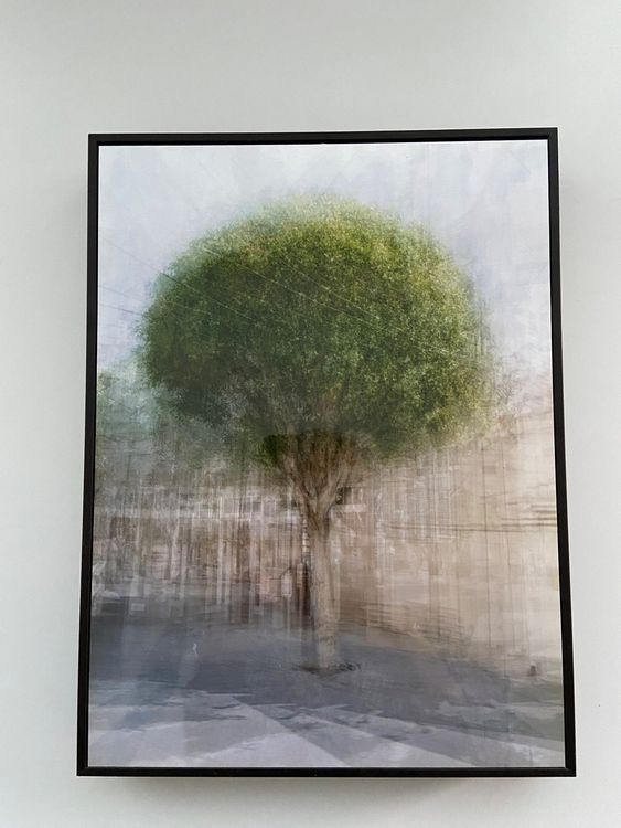 LUMAS Bild: CASTRO SEVEN (Gebraucht) in Uerikon für CHF 41 – mit Lieferung auf Ricardo kaufen