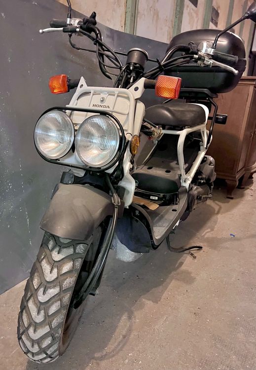 Honda NPS 50 Zoomer (Gebraucht) in Bern für CHF 320 – nur Abholung auf ...