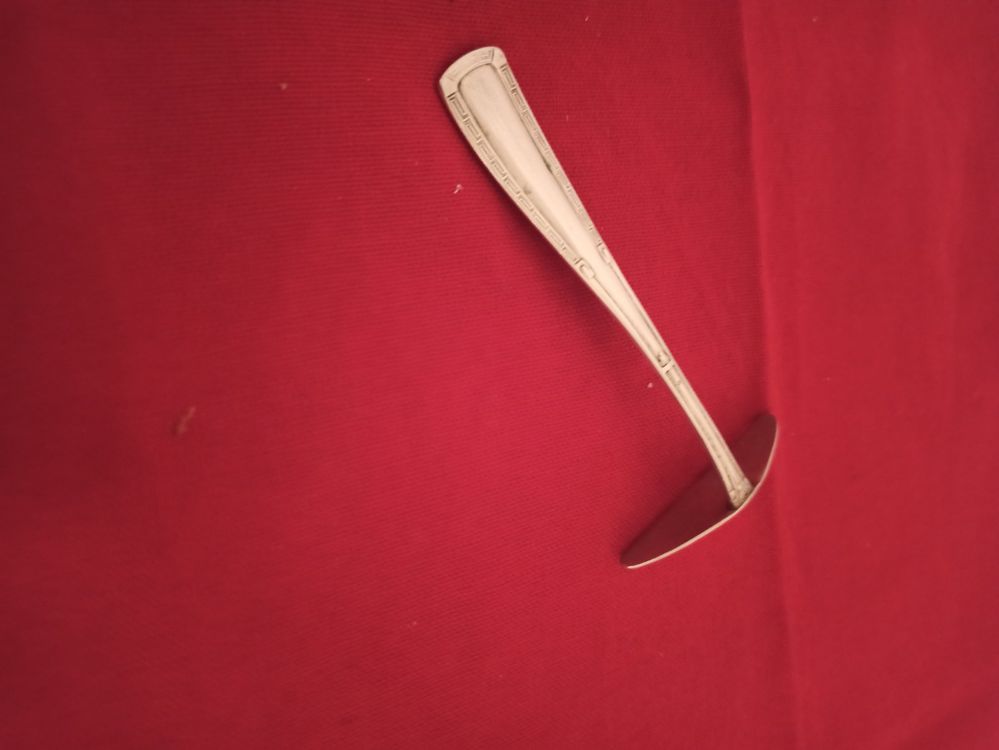 Besteck , Schieber 800er Silber, 16 Gramm (Gebraucht) in Schaffhausen für CHF 9 – mit Lieferung ...