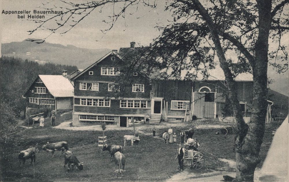 Appenzeller Bauernhaus bei Heiden. Bauernfamilie mit Kühen (Gebraucht) in Bronschhofen für CHF ...