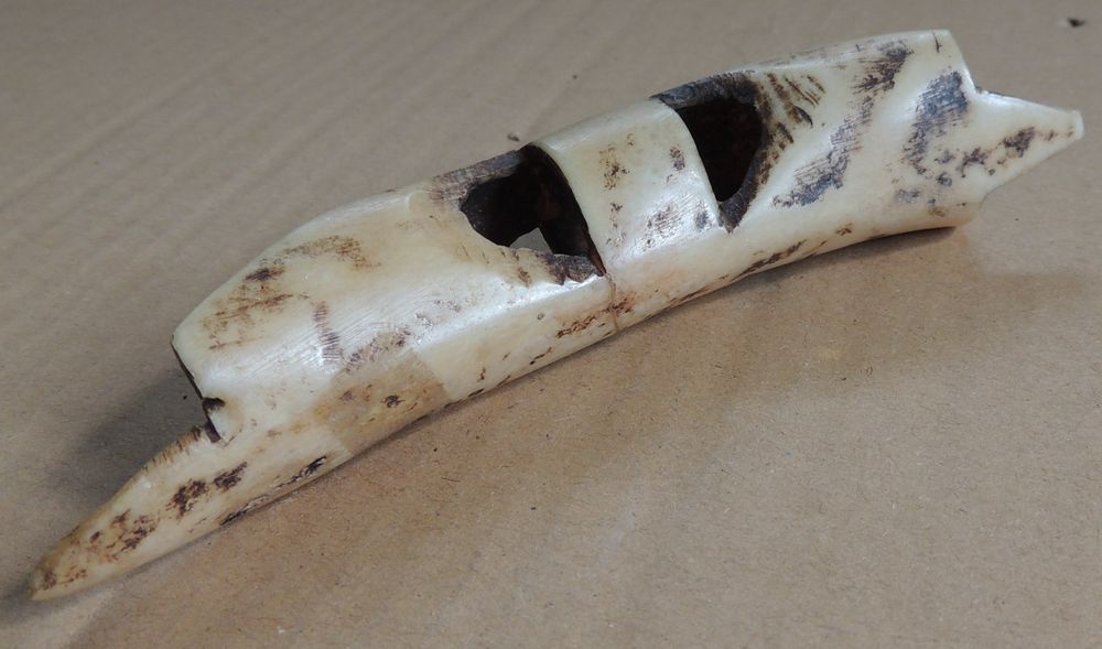 Bipanew Nasenschmuck Papua Neu Guinea Tribal Art Indonesien | Kaufen ...