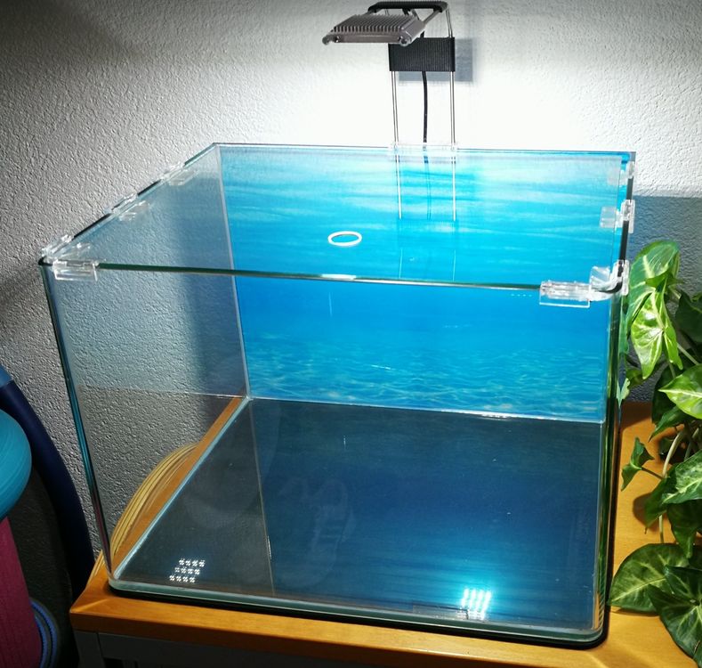 Dennerle Scaper Tank 35l (Nano Aquarium) (Gebraucht) in Birrhard für ...