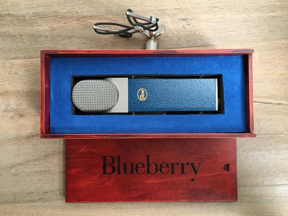 Microphone Blue Blueberry | Kaufen auf Ricardo