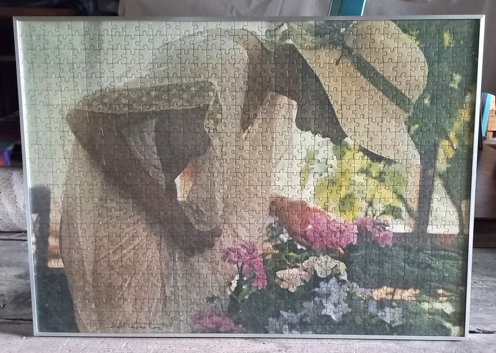 Ravensburger Puzzle David Hamilton gerahmt _g (Gebraucht) in Bévilard ...