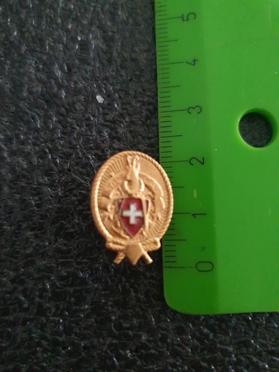 SAC / CAS Schweizer Alpenclub Pin Medaillen Auszeichnungen (Gebraucht) in Ostermundigen für CHF ...