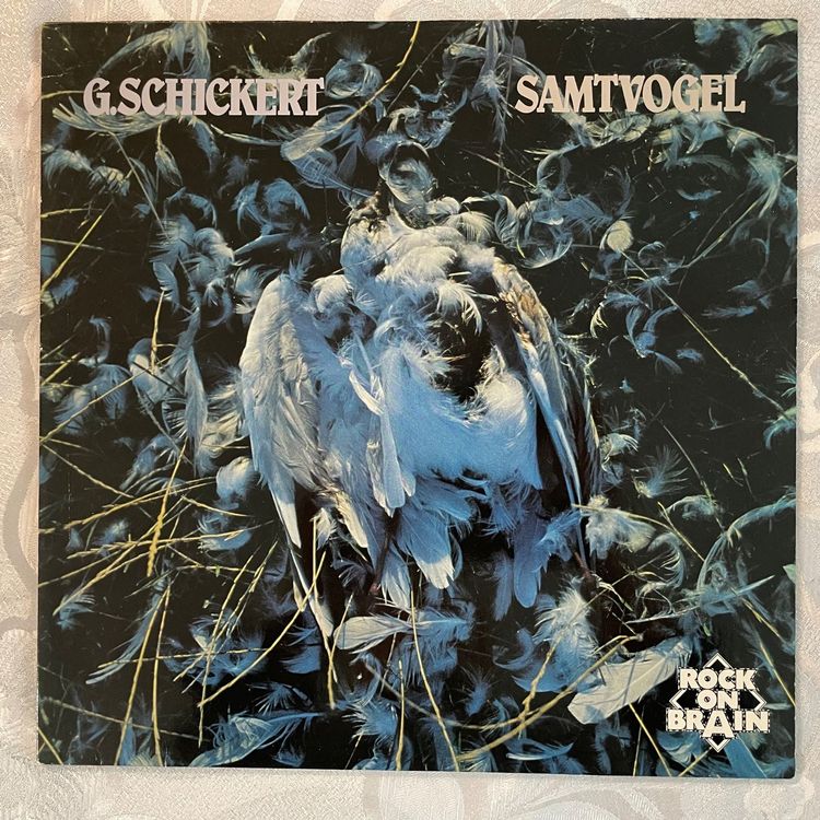 G.SCHICKERT - SAMTVOGEL (Gebraucht) in Zürich für CHF 30 – mit ...