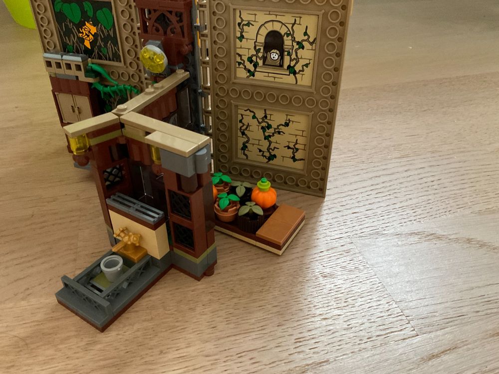 LEGOBUCH 76384 Harry Potter: Hogwarts Kräuterkundeunterricht (Gebraucht ...