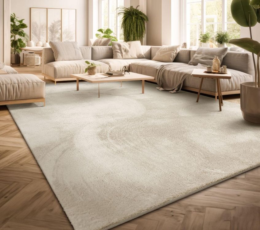 PORTOFREI! SPEZIALPREIS Teppich Super Soft 160x220 NEU | Kaufen auf Ricardo