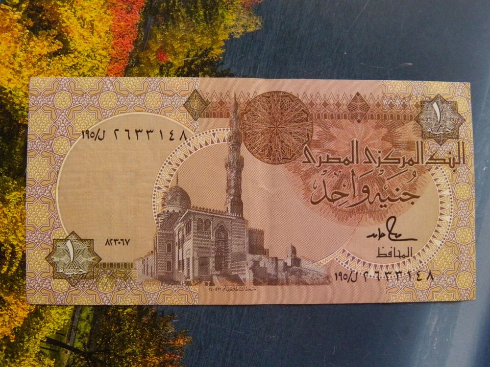 Egypt 1 Poud 1979-2016, P-50, Gebraucht (Gebraucht) in Untersiggenthal für CHF 1.5 – mit ...