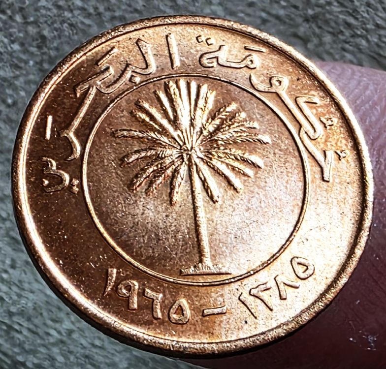 BAHRAIN 5 FILS 1385/1965 (Gebraucht) in winterthur für CHF 1 – mit ...