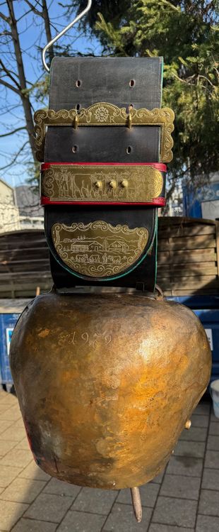 Appenzeller Treichel 1972 (Gebraucht) in Thun für CHF 755 – mit ...