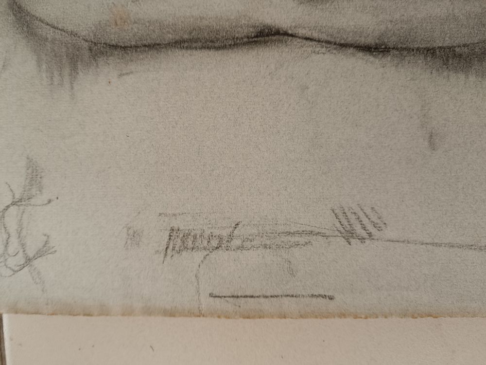 sehr altes Zeichnung auf Büttenpapier mit Wasserzeichen | Kaufen auf ...