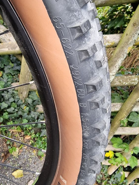 Komplettrad 29 zoll Alexrims ab 10 fr!!! (E-bike) | Kaufen auf Ricardo