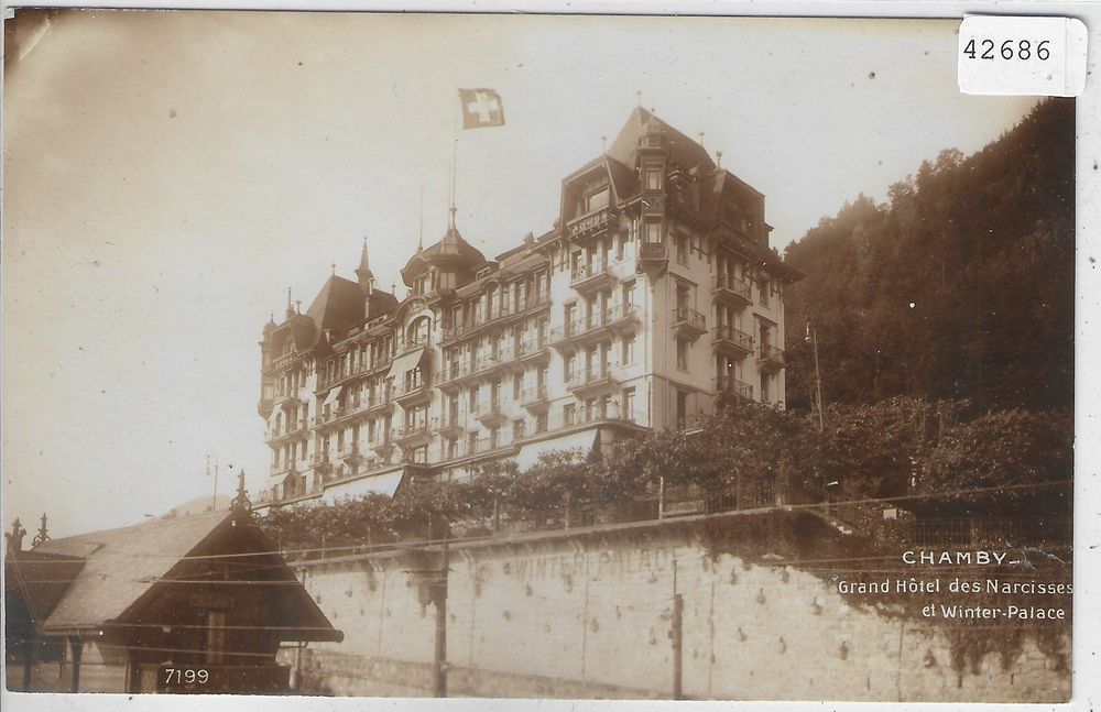 Chamby - Grand Hotel des Narcisses et Winter-Palace | Kaufen auf Ricardo