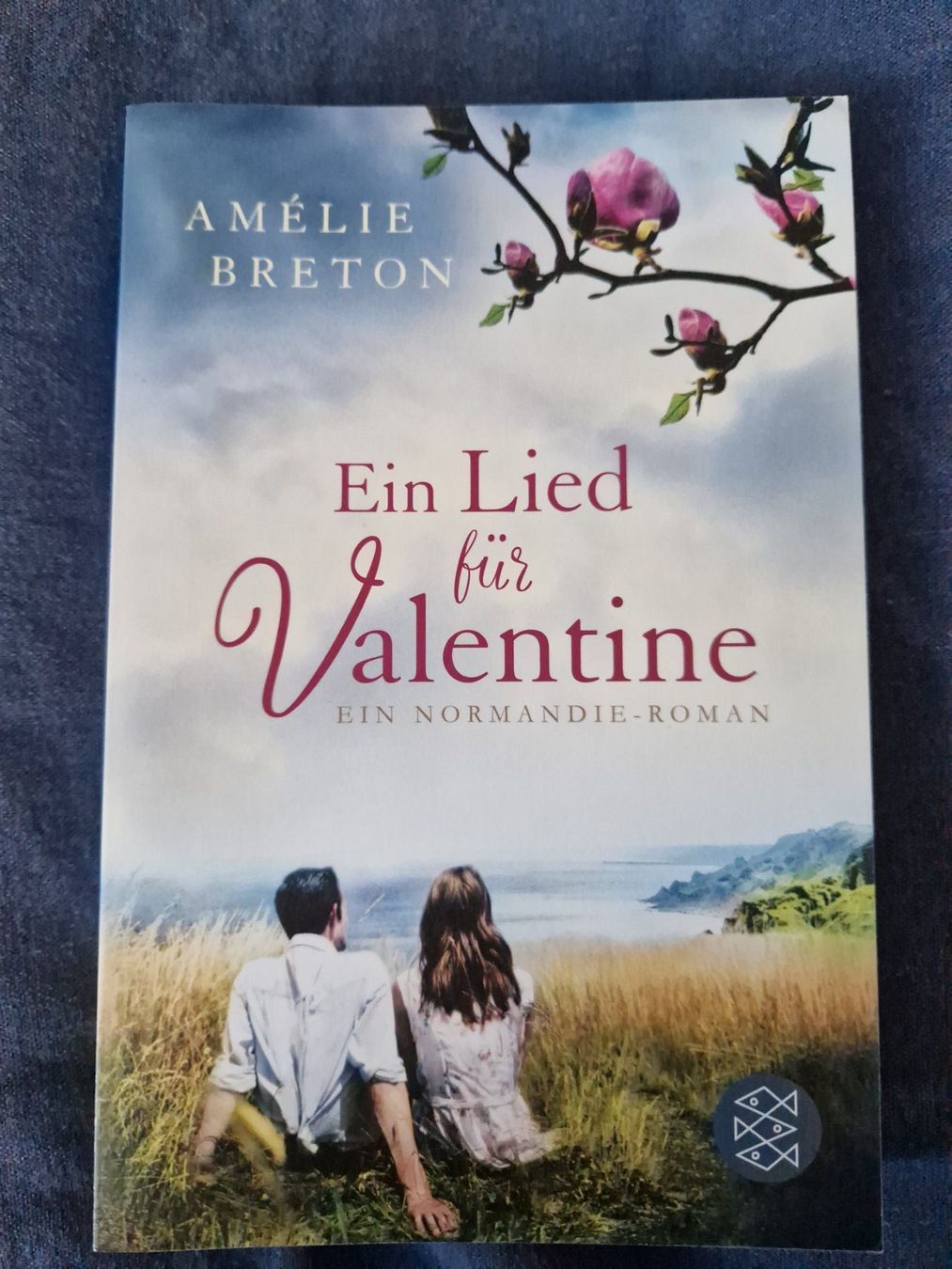 Amélie Breton - Ein Lied für Valentine Normandie Roman (Gebraucht) in ...