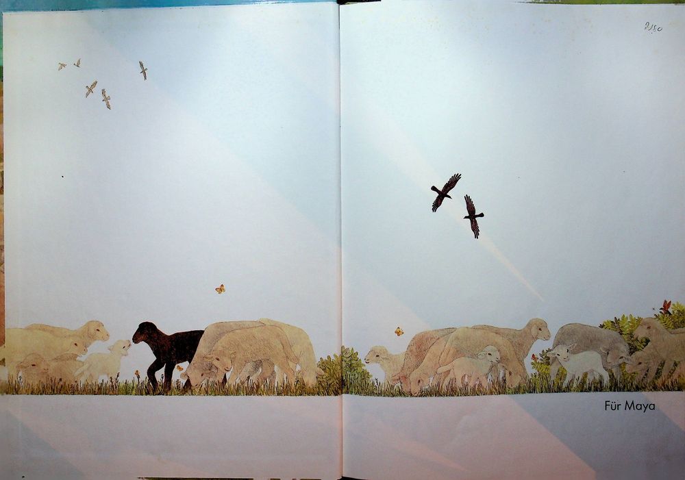 Eleonore Schmid Das schwarze Schaf | Kaufen auf Ricardo