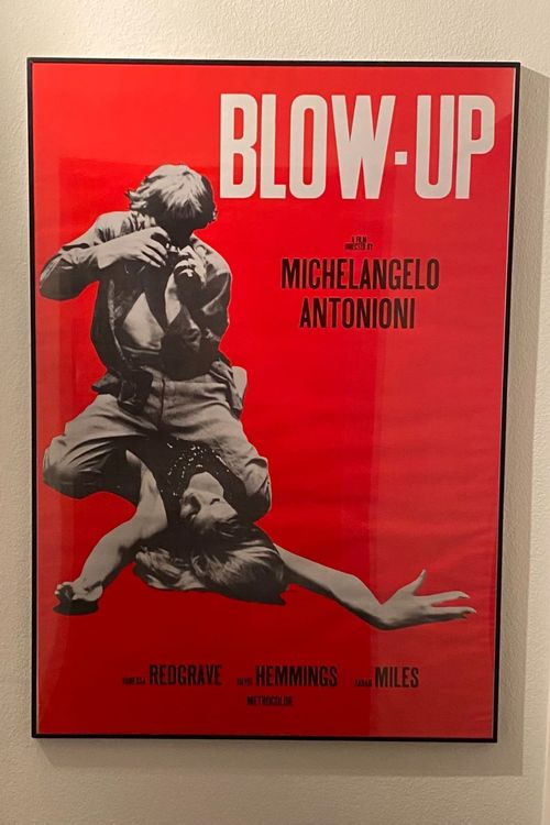 Filmplakat gerahmt Blow Up 1966 - Michelangelo Antonioni | Kaufen auf Ricardo