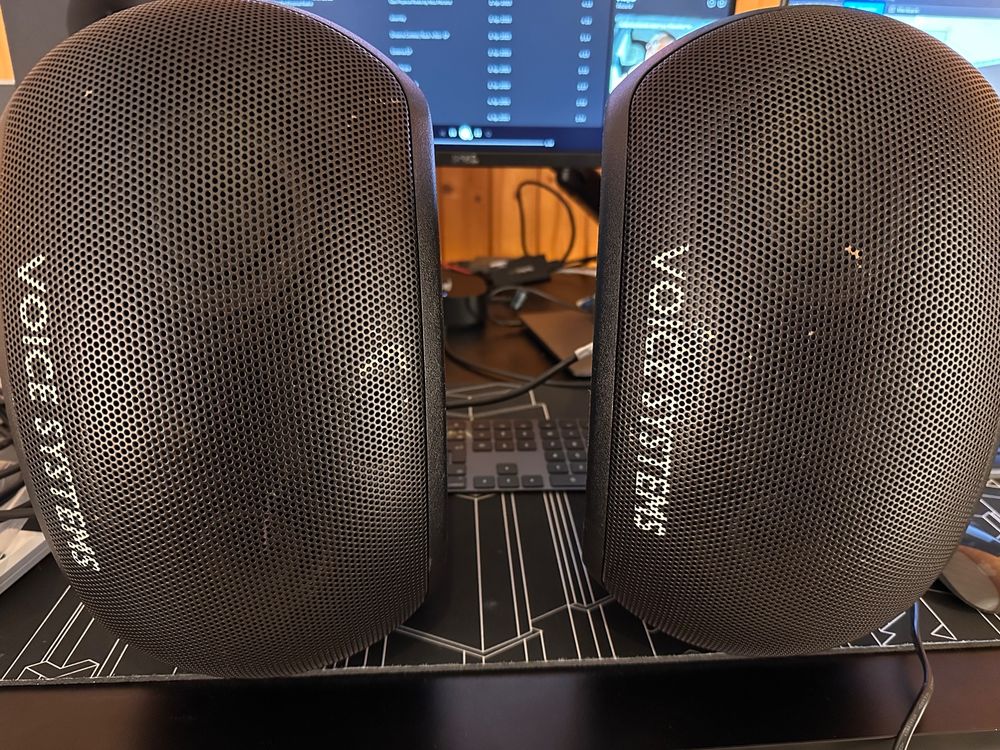 Voice Systems Monitore, Modell Bee Stage (2 Stk.) (Gebraucht) in ...