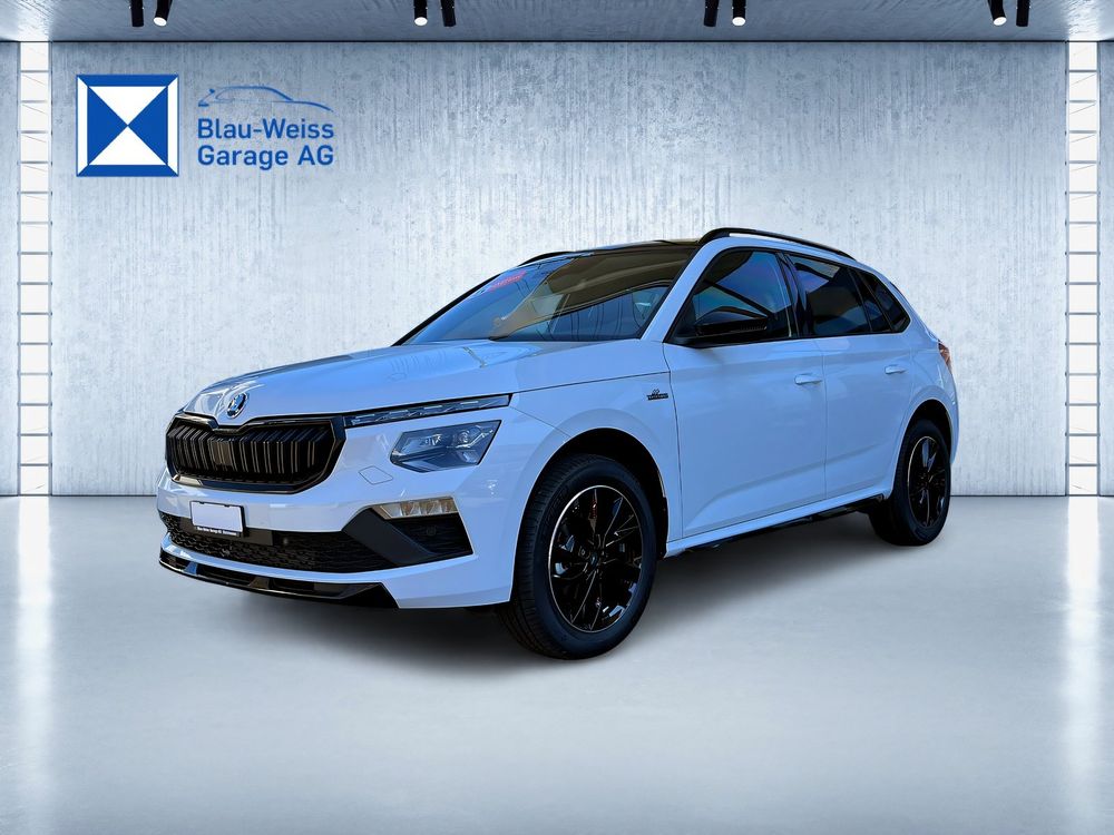 Skoda Kamiq Kaufen