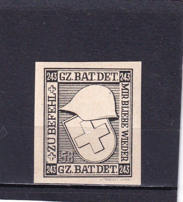 Grenztruppen Gz.Bat.Det.243: Nr. 155w (Neu (gemäss Beschreibung)) in Birsfelden für CHF 5 – mit ...