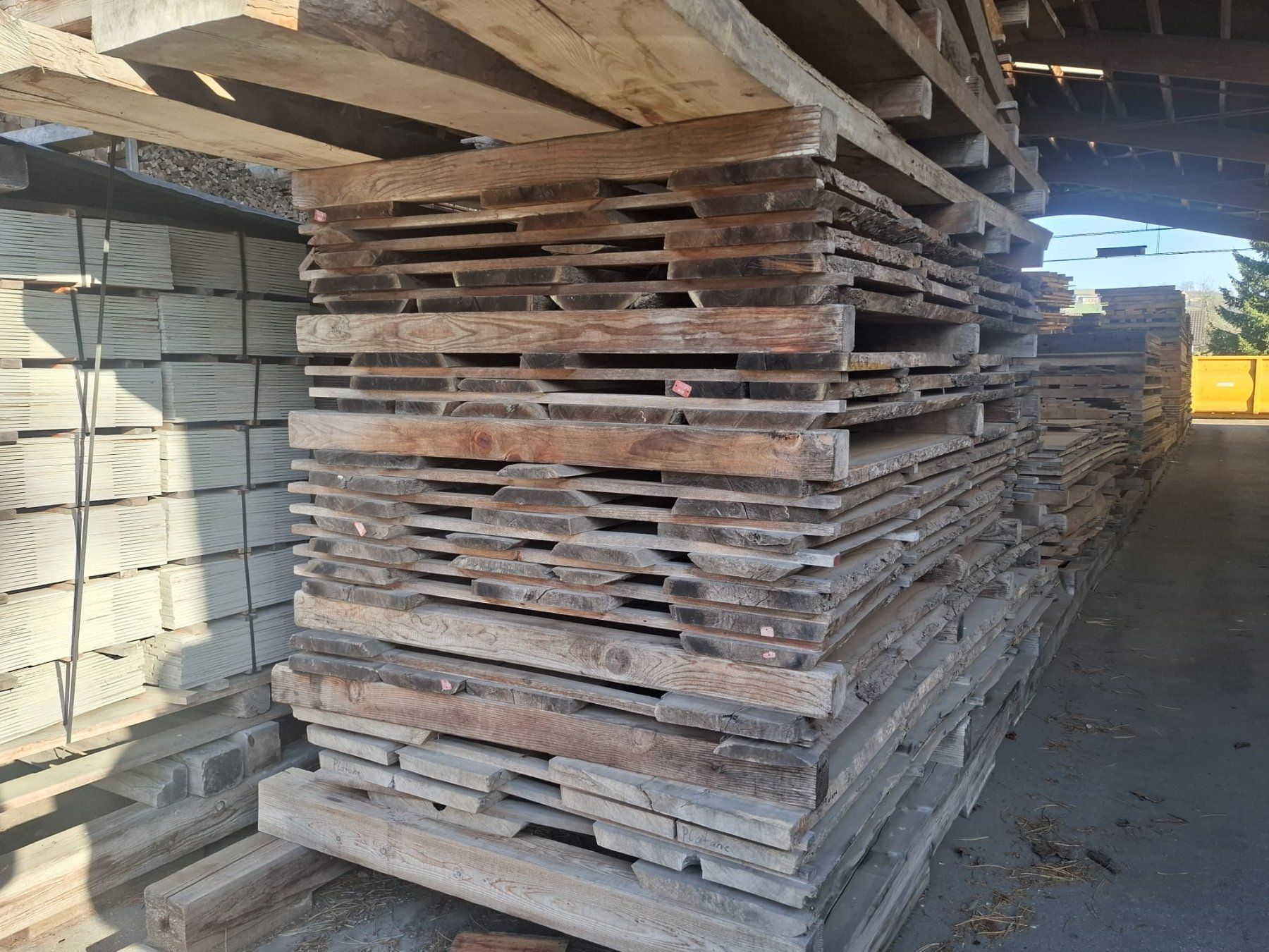 Bretter Platane (Gebraucht) in Hasle LU für CHF 754 – nur Abholung auf ...