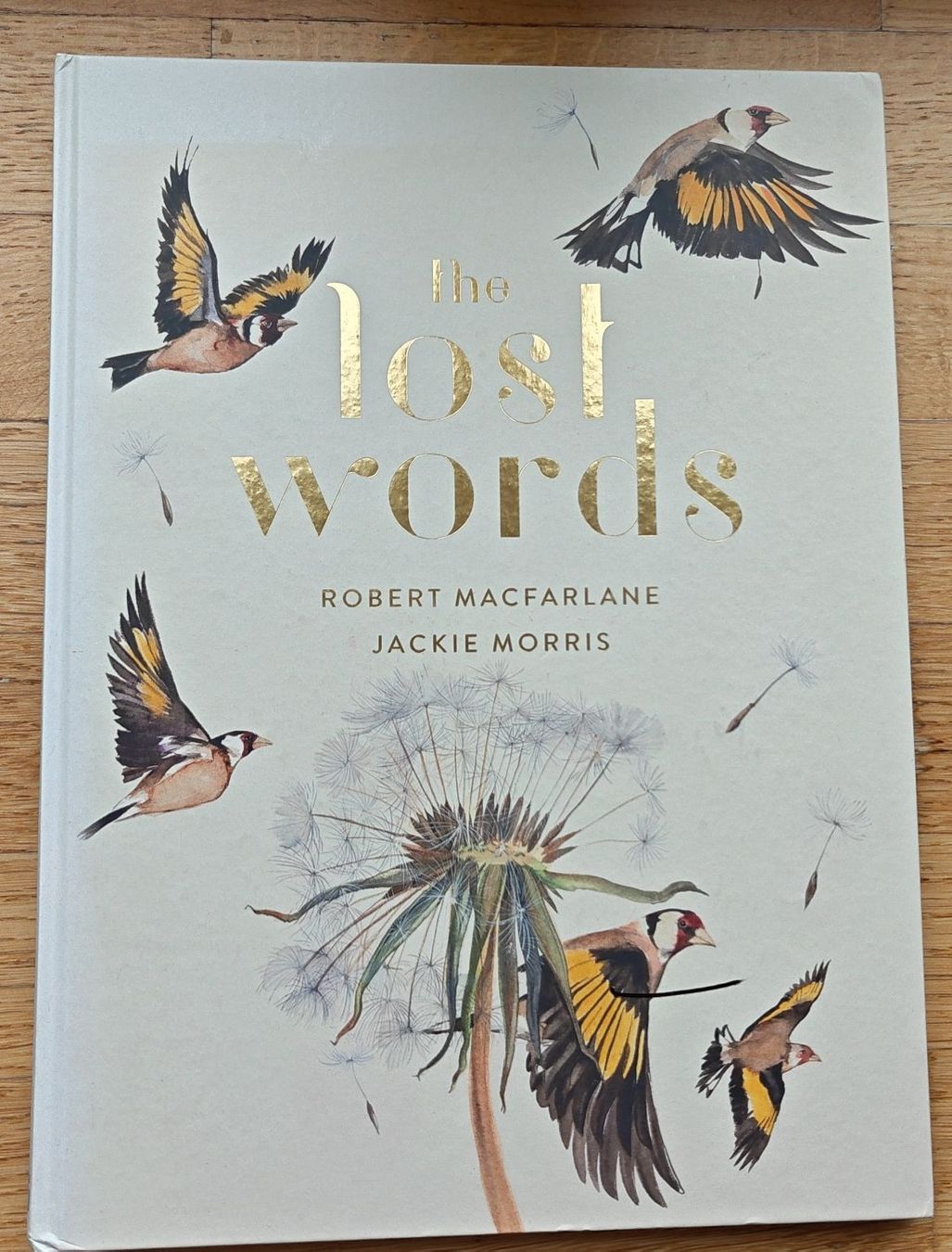 The Lost Words by Robert Macfarlane, Jackie Morris (Gebraucht) in Forch ...