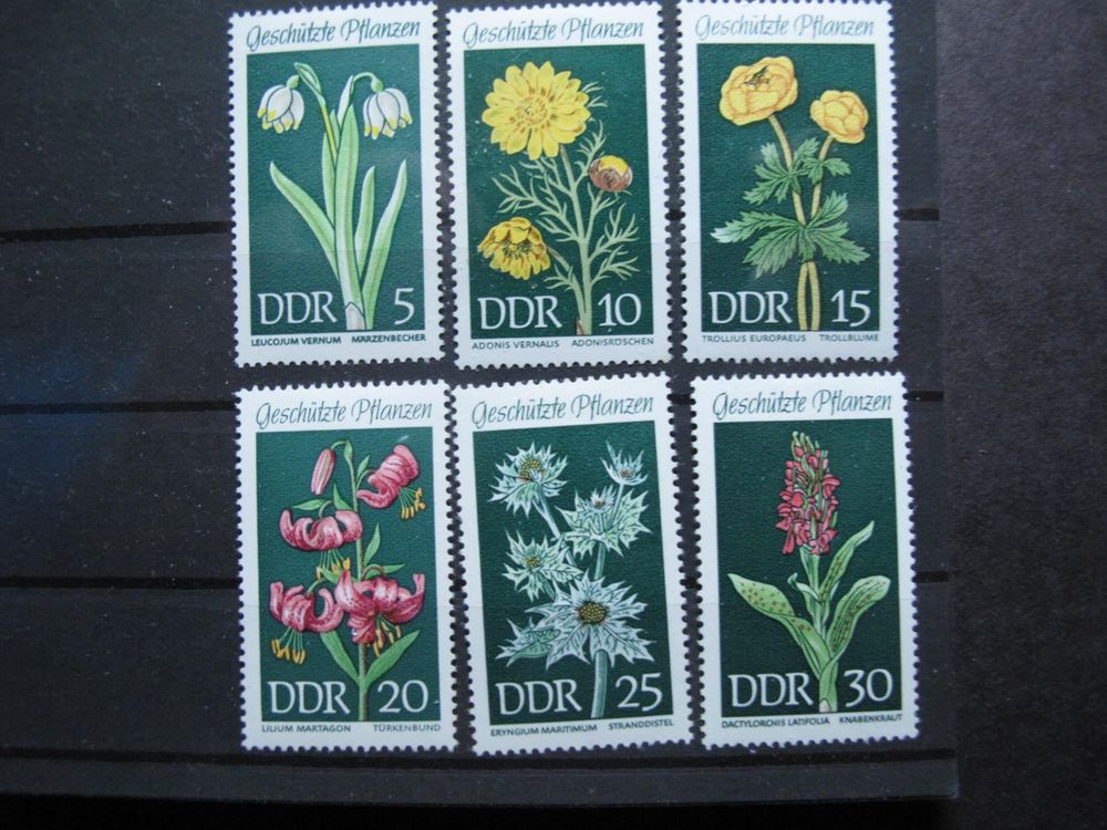 DDR 1969 Geschützte Pflanzen * (Gebraucht) in Wil SG für CHF 1 – mit Lieferung auf Ricardo kaufen